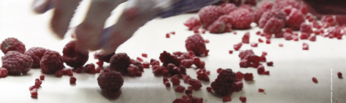 DERT - Festival delle Terre